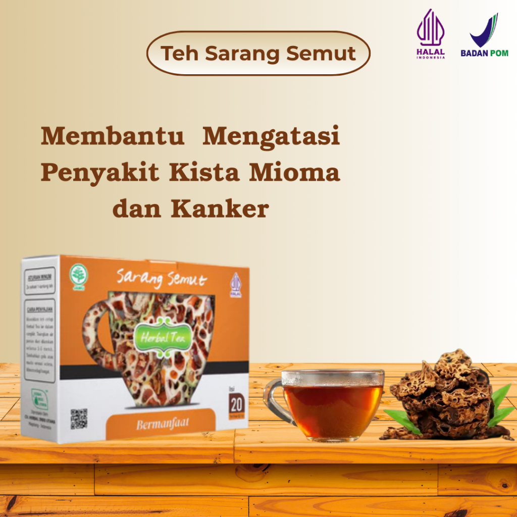 Jual TEH SARANG SEMUT Membantu Mengobati Penyakit Kista, Mioma, Kanker ...