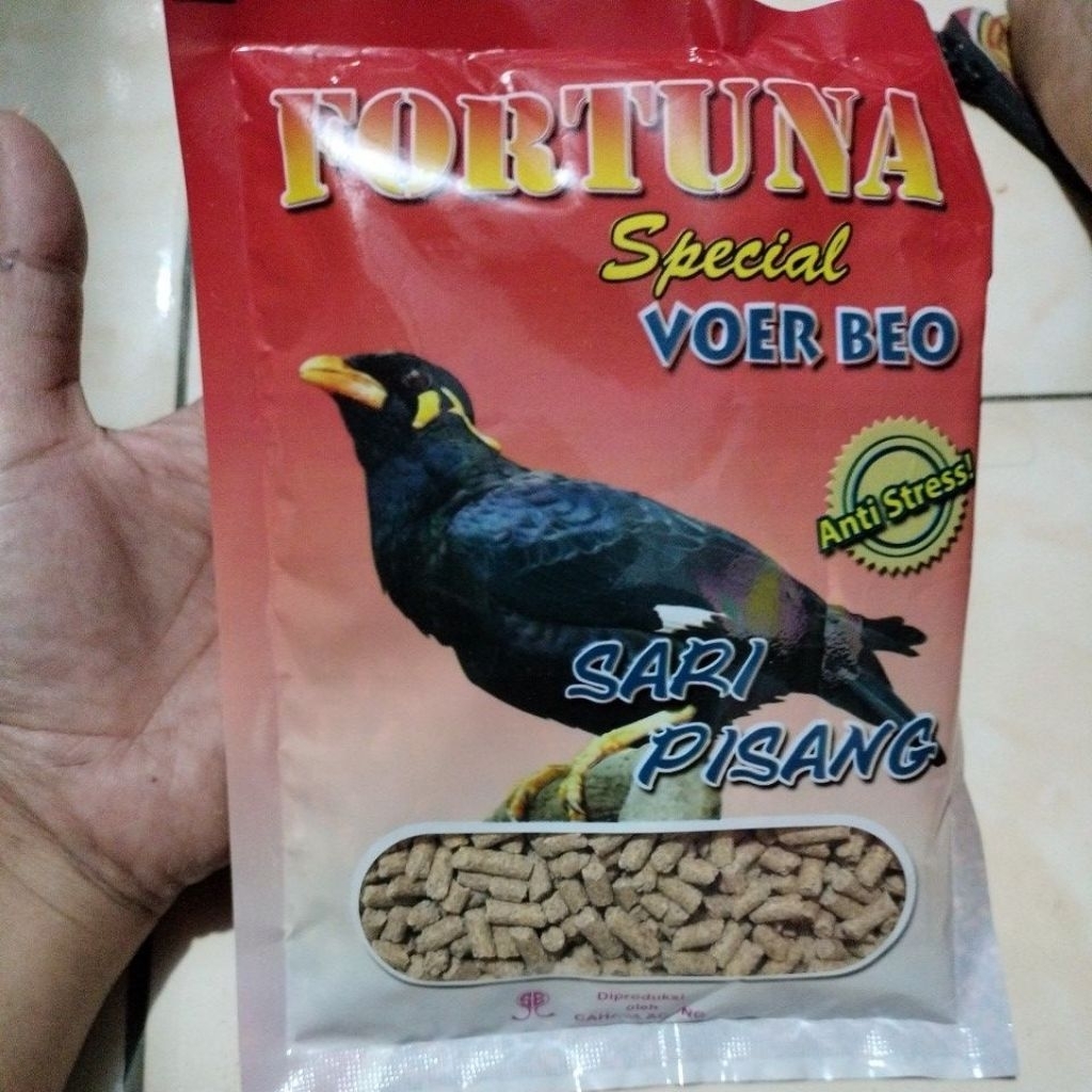 Jual Fortuna Voer beo | Shopee Indonesia