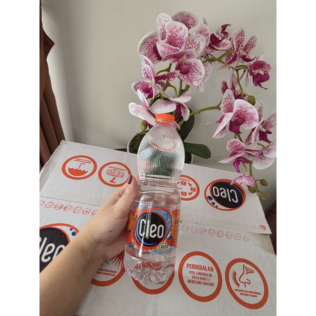 Jual Cleo Botol 500 Ml 1 Dos isi 24 Pcs / Air Minum Kemasan Botol Cleo ...
