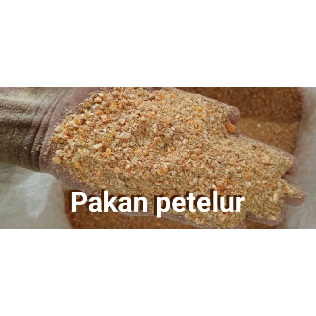Jual Pakan Ayam Petelur Terlengkap & Harga Terbaru Juni 2026 | Shopee ...