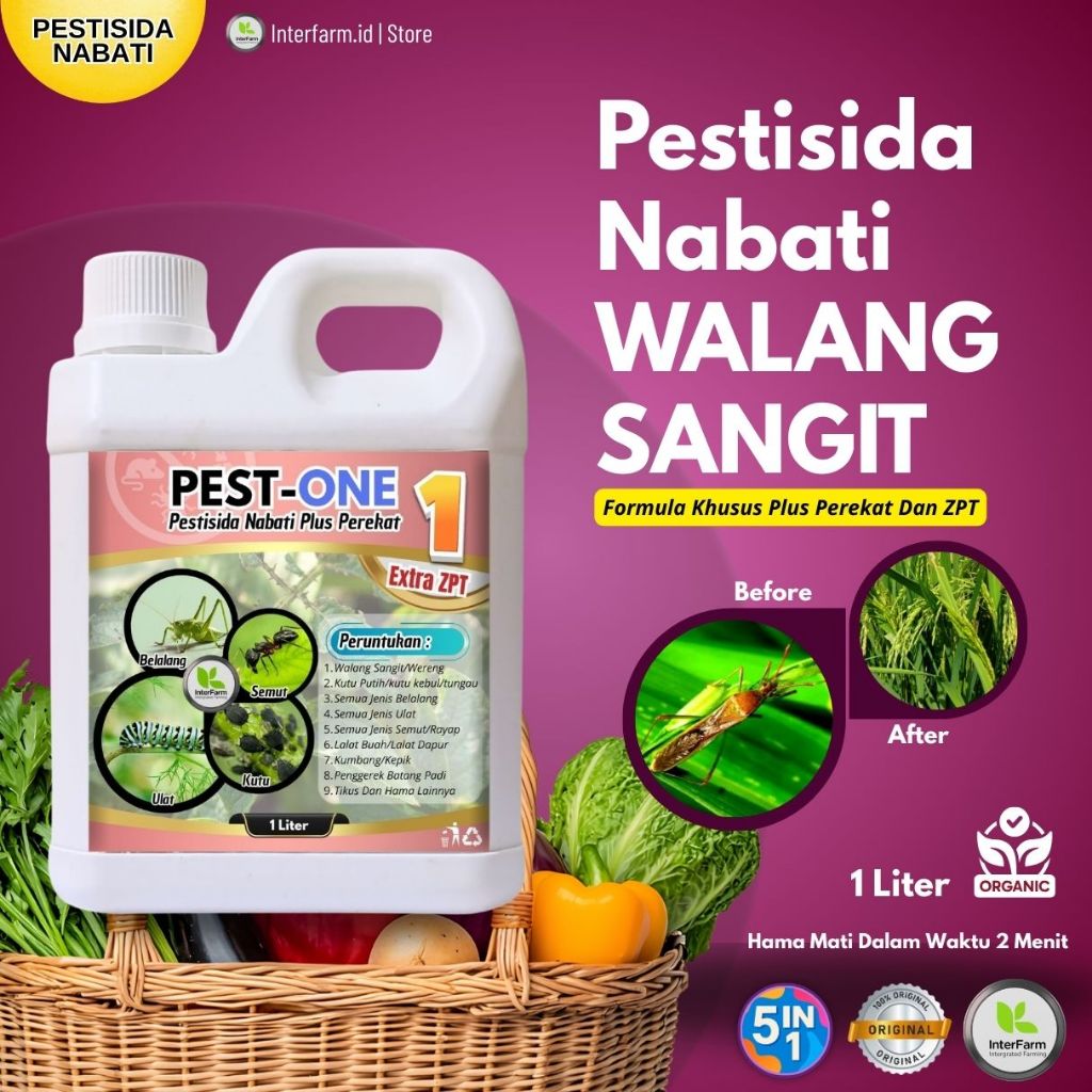 Jual Obat Walang Sangit Ampuh Terlengkap & Harga Terbaru Juni 2026 ...