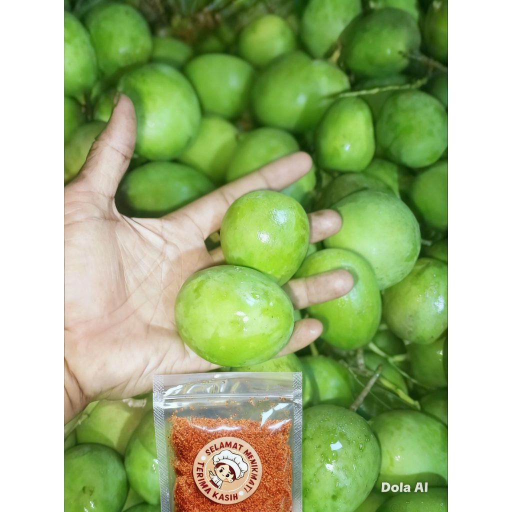 Jual mangga muda telur 1 kg +bumbu rujak | Shopee Indonesia
