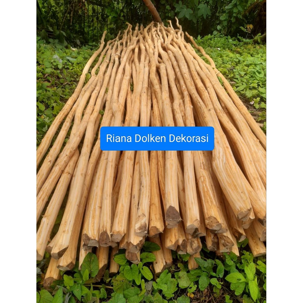 Jual Kayu Gelam Terlengkap & Harga Terbaru Mei 2026 | Shopee Indonesia