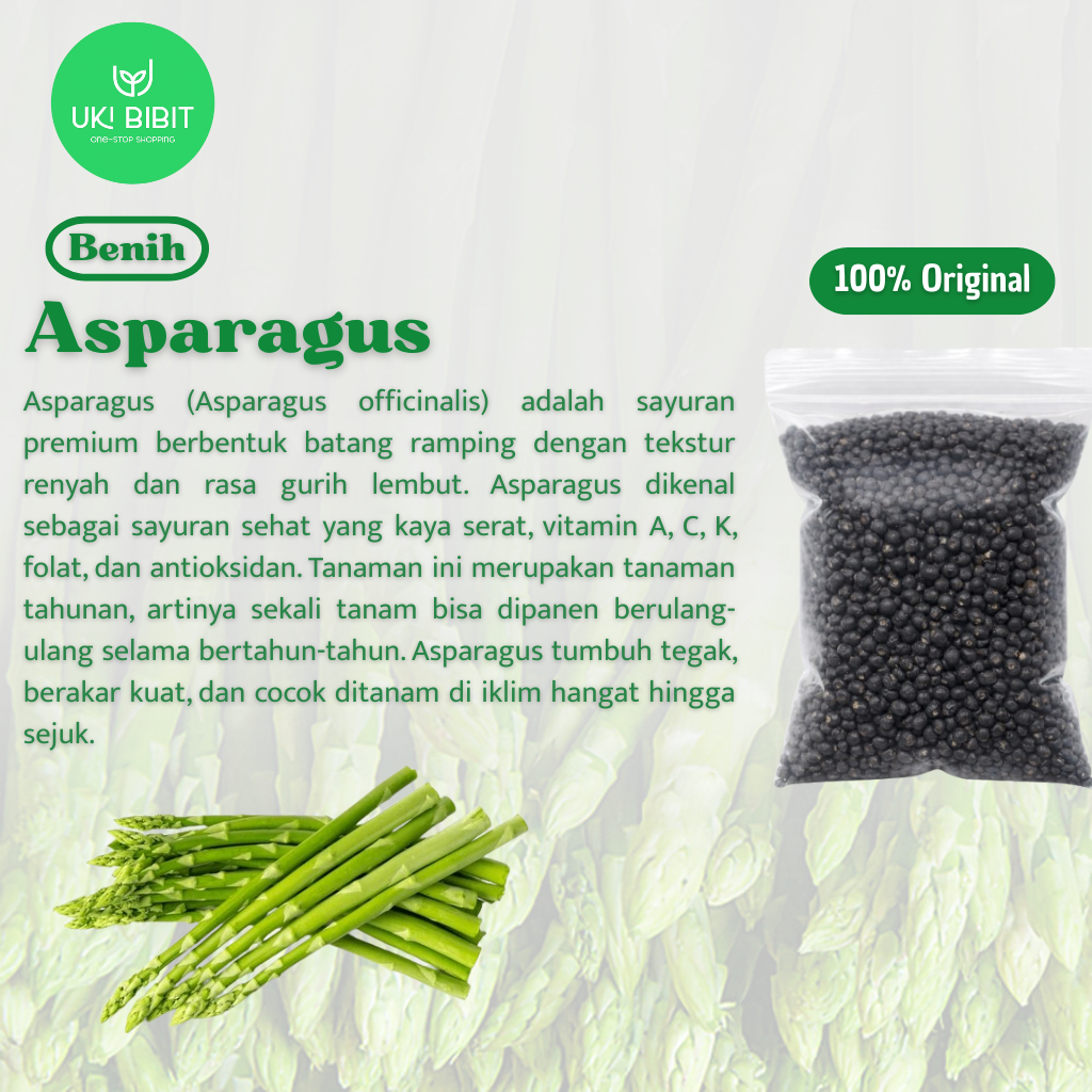Jual ( 10 Butir ) Benih Biji Asparagus | Mary Washington | Asparagus ...