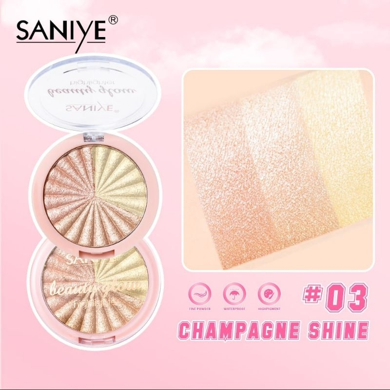 Jual SANIYE 5 Warna Glitter Highlighter Douyin Wajah Highlight ...