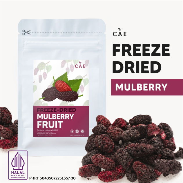 Jual Mulberry Freeze Dried Mulberry Fruit Buah Crisp Pure Kering Utuh ...