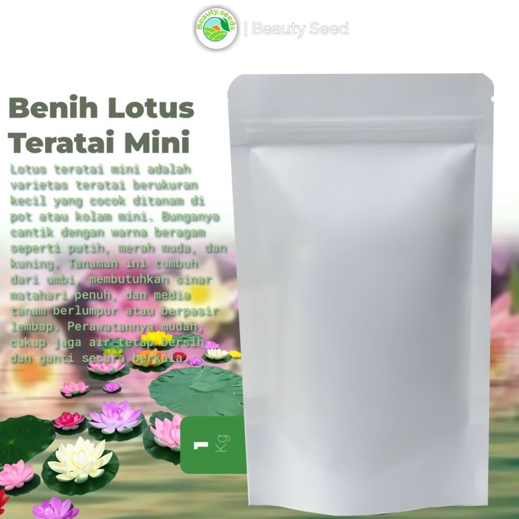 Jual 1kg biji benih lotus mix warna / Bunga lotus teratai mini 1kg mix ...