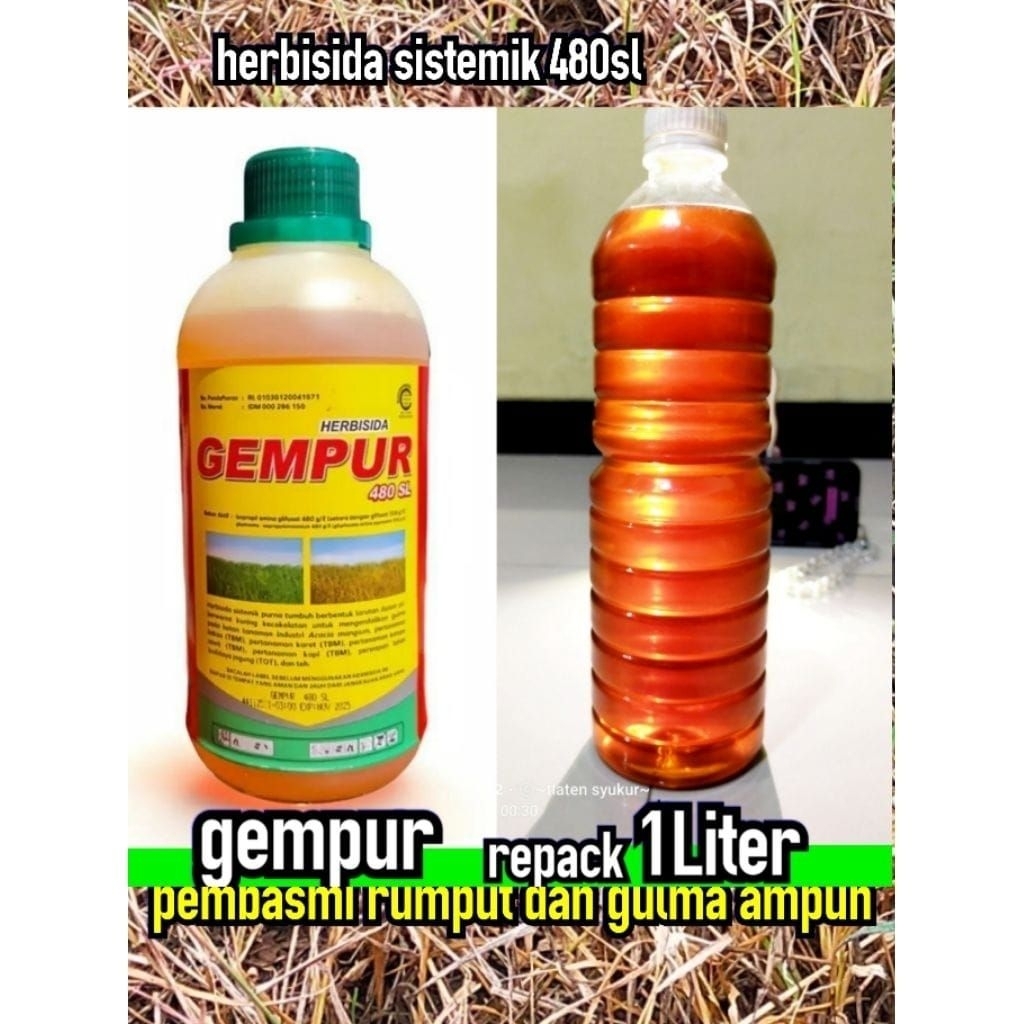 Jual obat rumput GEMPUR kemasan 1000ml(1Liter)tirisan drum.sangat ampuh ...