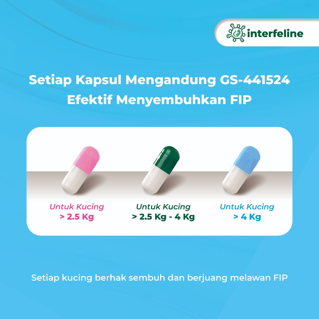 Jual Obat FIP Kucing Interfeline - Oral Kapsul Pengobatan Kucing FIP ...