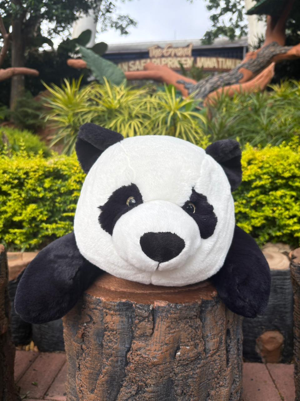 Jual Safari Wonders - Boneka Panda Tiduran Besar 30 L | Official ...