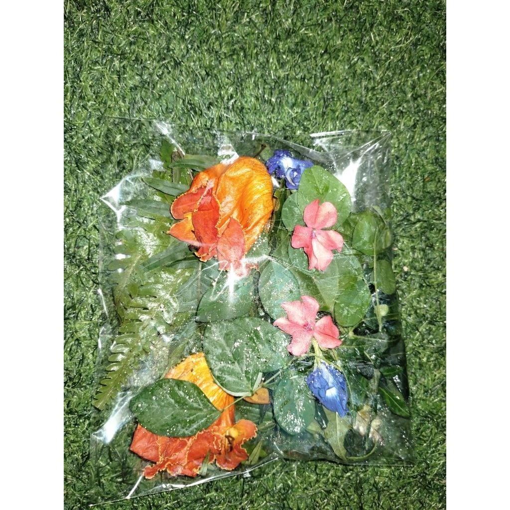 Jual Paket Bunga dan Daun Ecoprint Segar | Shopee Indonesia