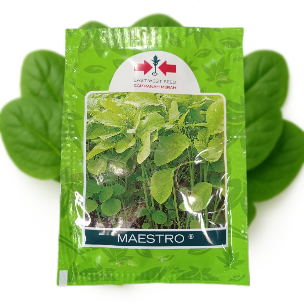 Jual Benih Bayam MAESTRO | Shopee Indonesia