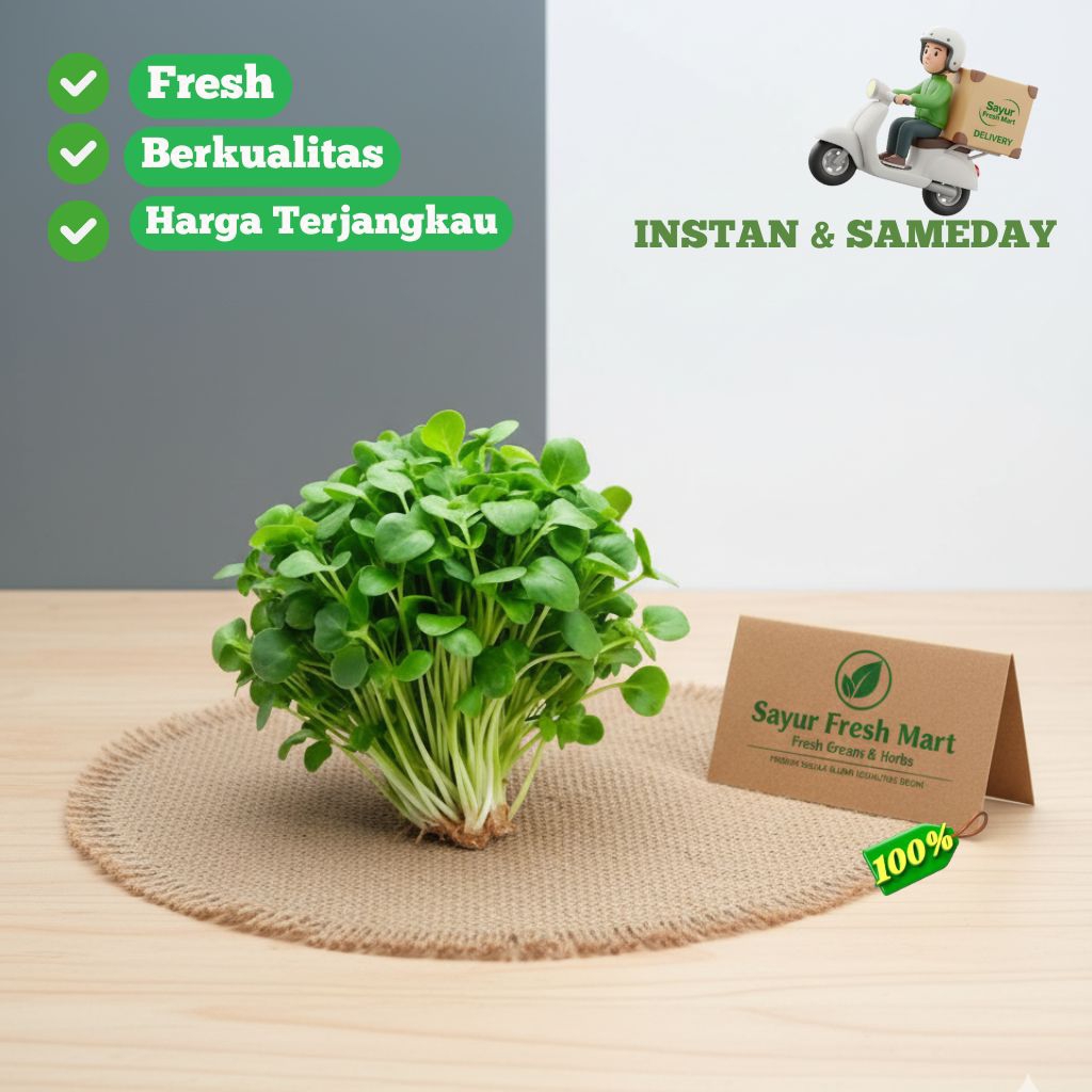 Jual Selada Air per Ikat kurleb 250 gr Fresh Kualitas Kirim Instan ...