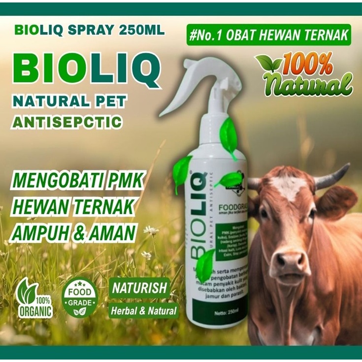 Jual BIOLIQ SPRAY 250ml - Obat PMK Semua Hewan Ternak, Sapi, Kerbau ...