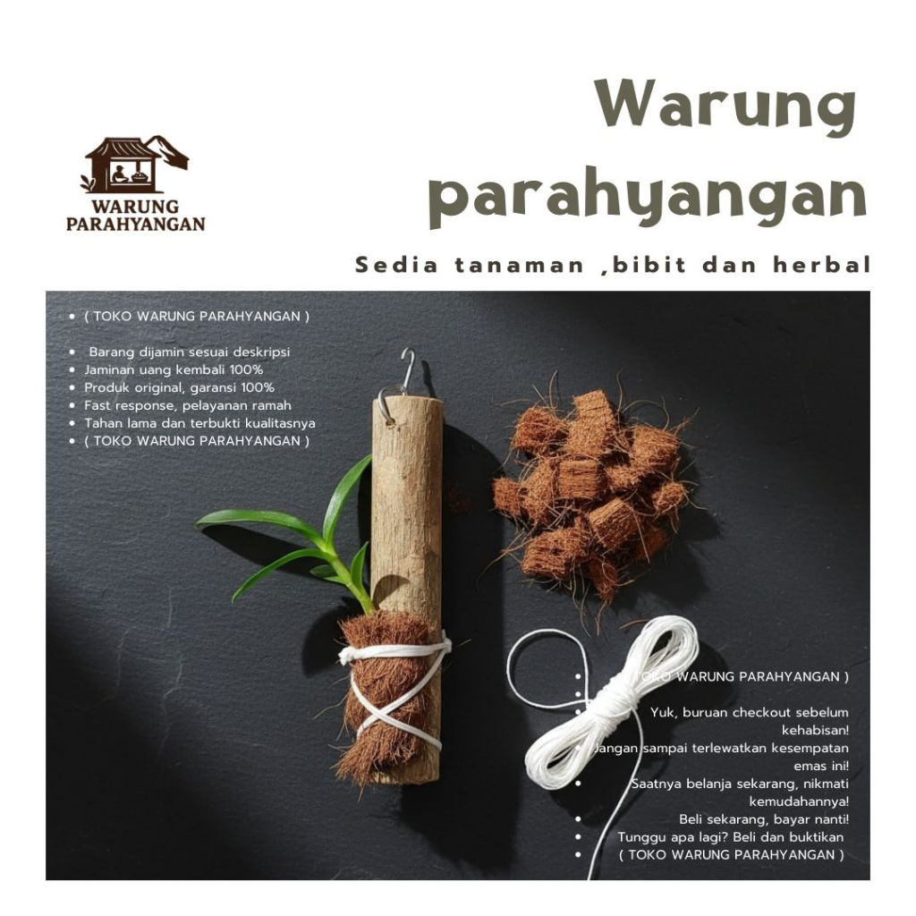 Jual Media tanam kayu kopi +Cantolan dan serabut kelapa | Shopee Indonesia