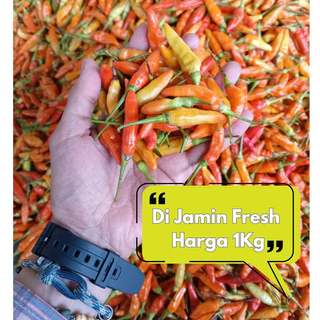 Jual Cabe Rawit 1 Kg Terlengkap & Harga Terbaru Desember 2025 | Shopee ...