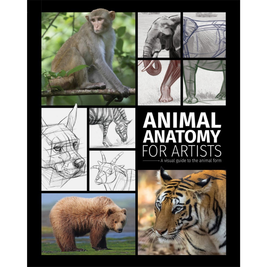 Jual Animal Anatomy For Artists 3D Total - A visual guide to the animal ...
