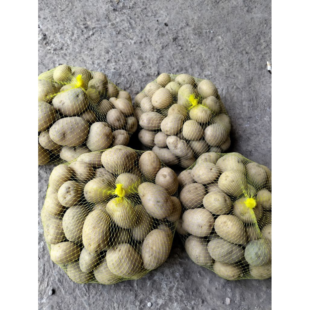 Jual Kentang Dieng freshh Kentang ARES (kentang ukuran kecil) cocok ...