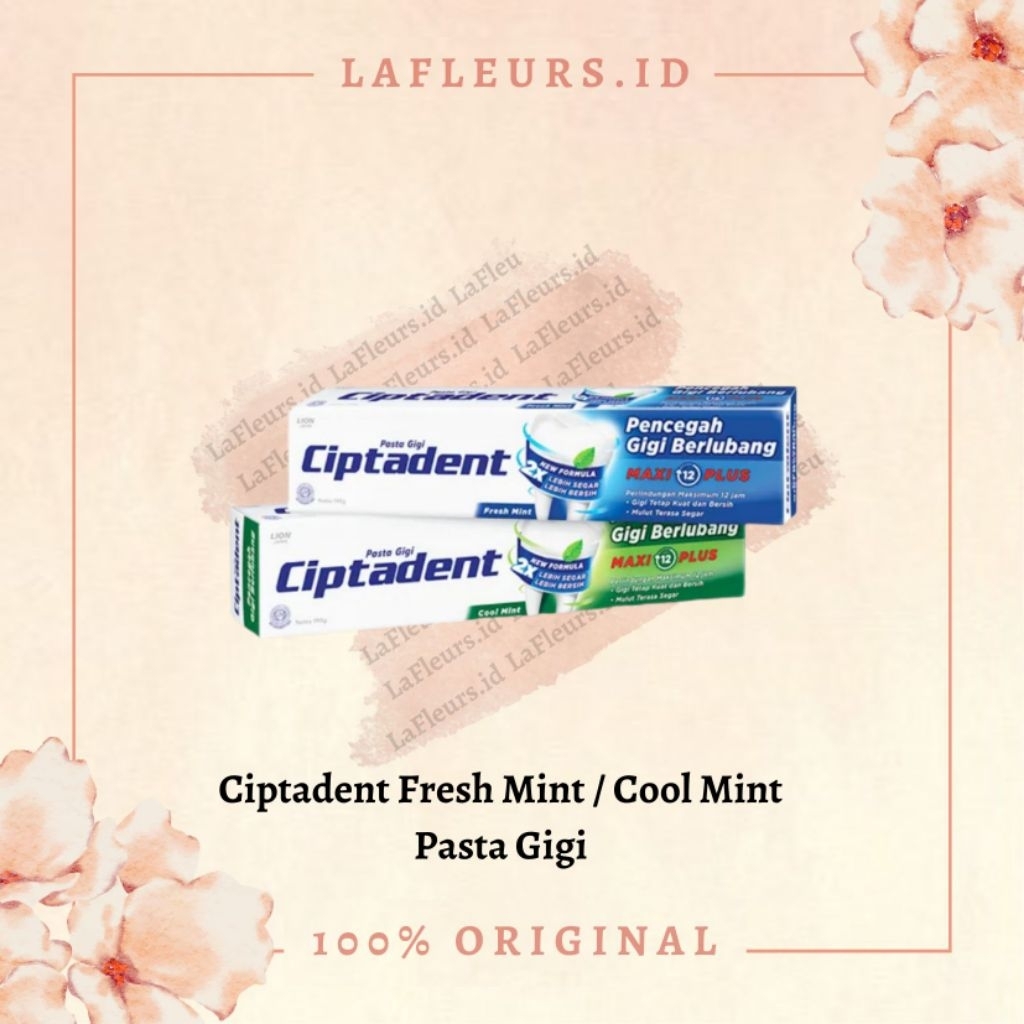Jual Ciptadent Pasta Gigi Fresh Mint / Cool Mint 225 g / Odol Pasta ...