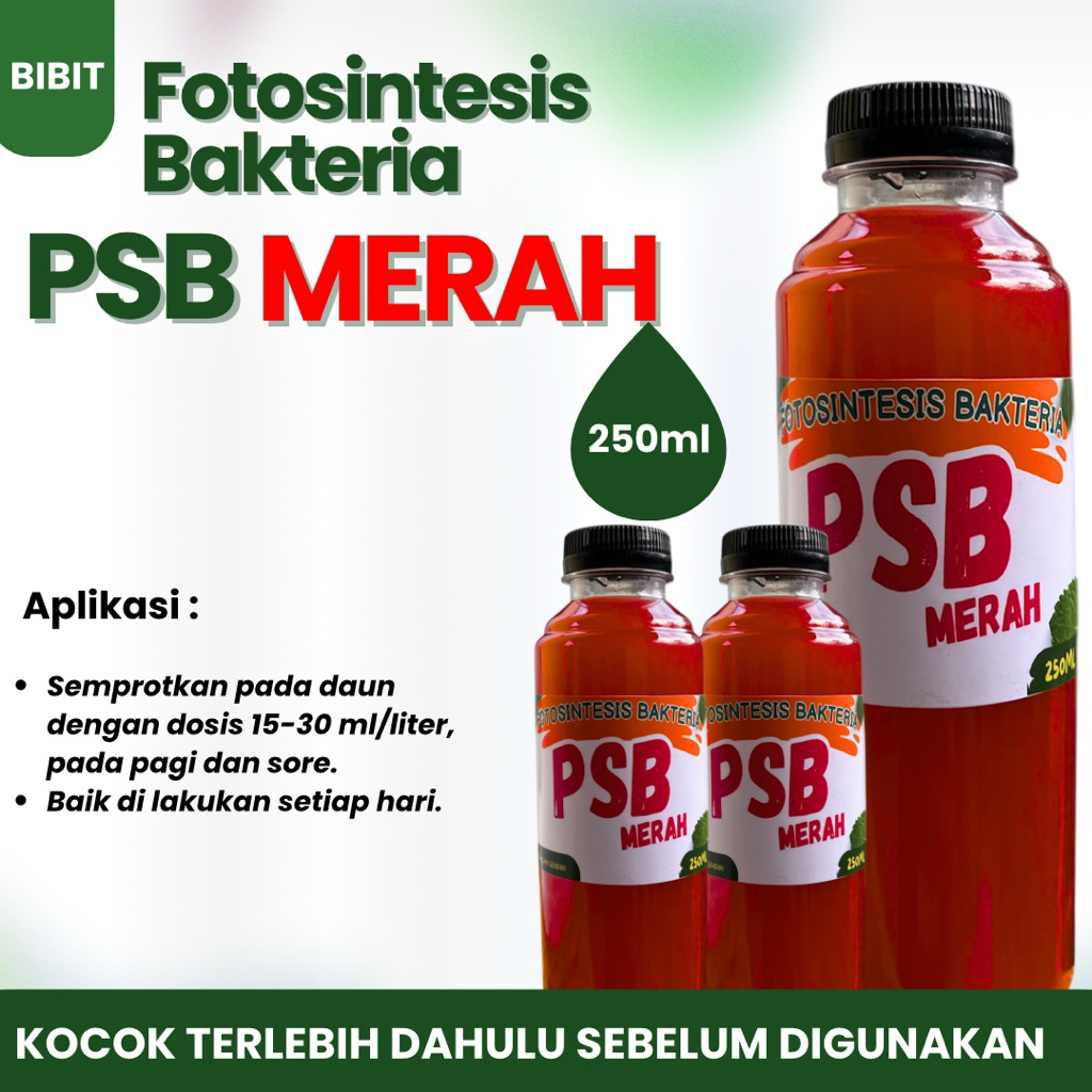 Jual PSB MERAH | Biang Pupuk Organik Fotosintesis Bakteria PSB 250ml ...