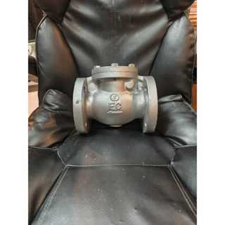 Jual Swing Check Valve Kitz 10"inch DN250 Jis 10K FC Flange Cast Iron ...