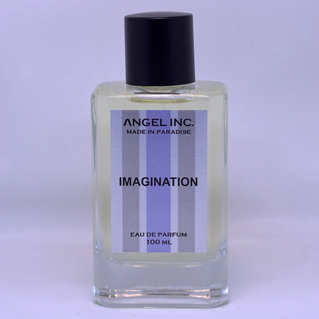 Jual PARFUME IMAGINATION BY ANGEL INC. EDP FOR MEN 100ML (inspired LV ...