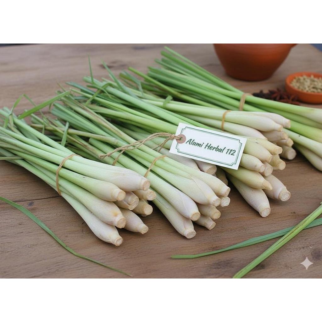 Jual Sereh Serai Segar 500 Gr Siap Setiap Hari | Shopee Indonesia