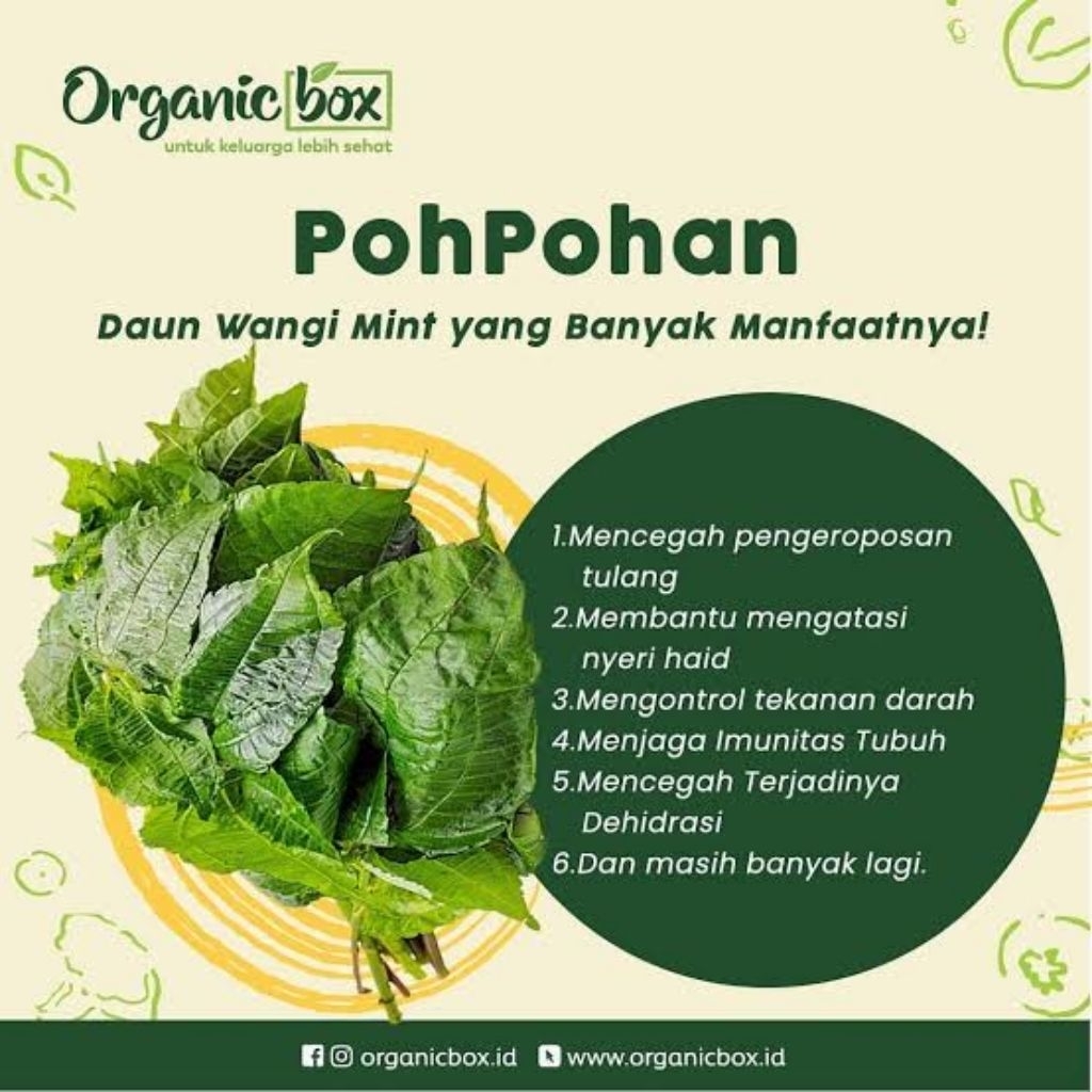 Jual Lalapan daun pohpohan terbaik FRES 500gram pilihan terbaik ...