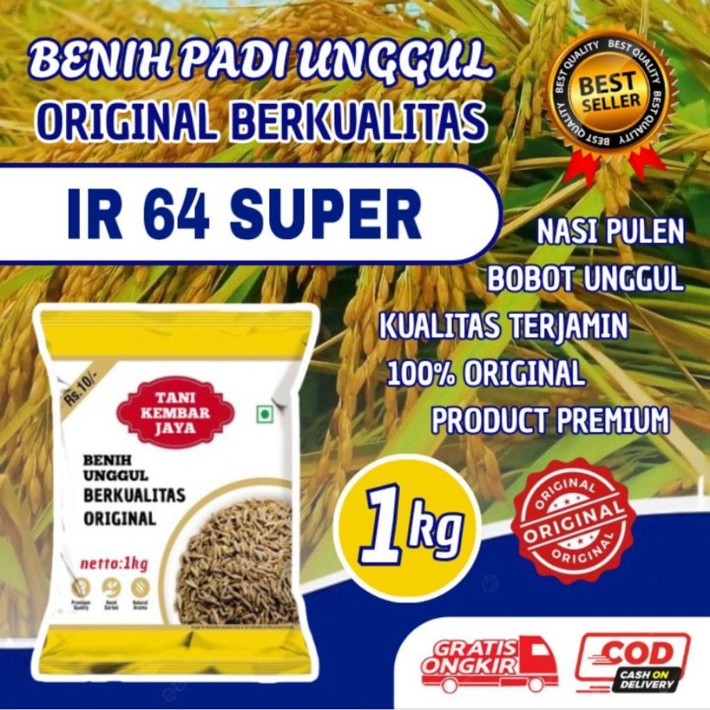 Jual BENIH PADI UNGGUL IR 64 SUPER KEMASAN 1KG ORIGINAL BERKUALITAS100 ...