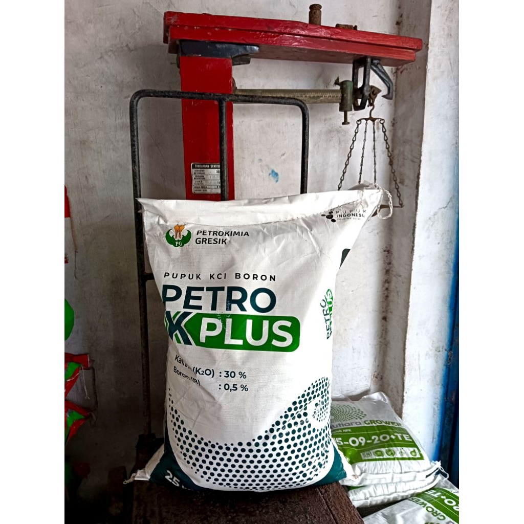 Jual Petro K plus pupuk kcl boron kemasan 25 kg | Shopee Indonesia