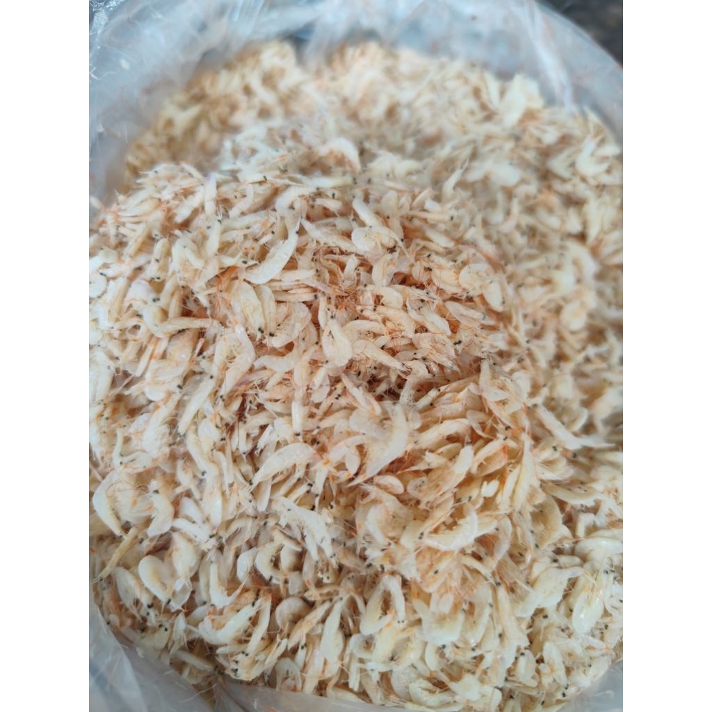 Jual ikan asin udang rebon 500gr | Shopee Indonesia
