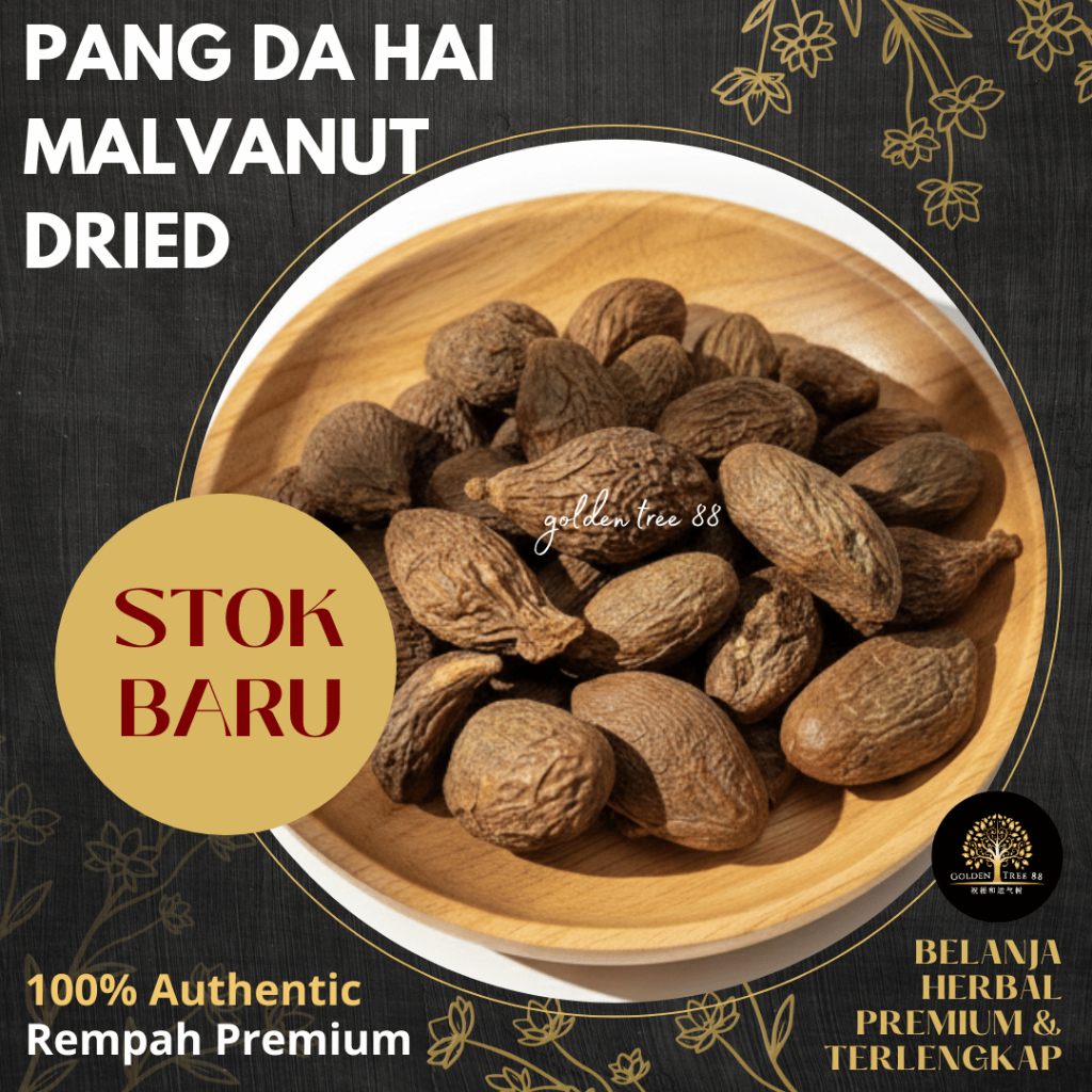 Jual 100 gram Premium Malva Nut / Pang Da Hai / Buah Semangkuk ...