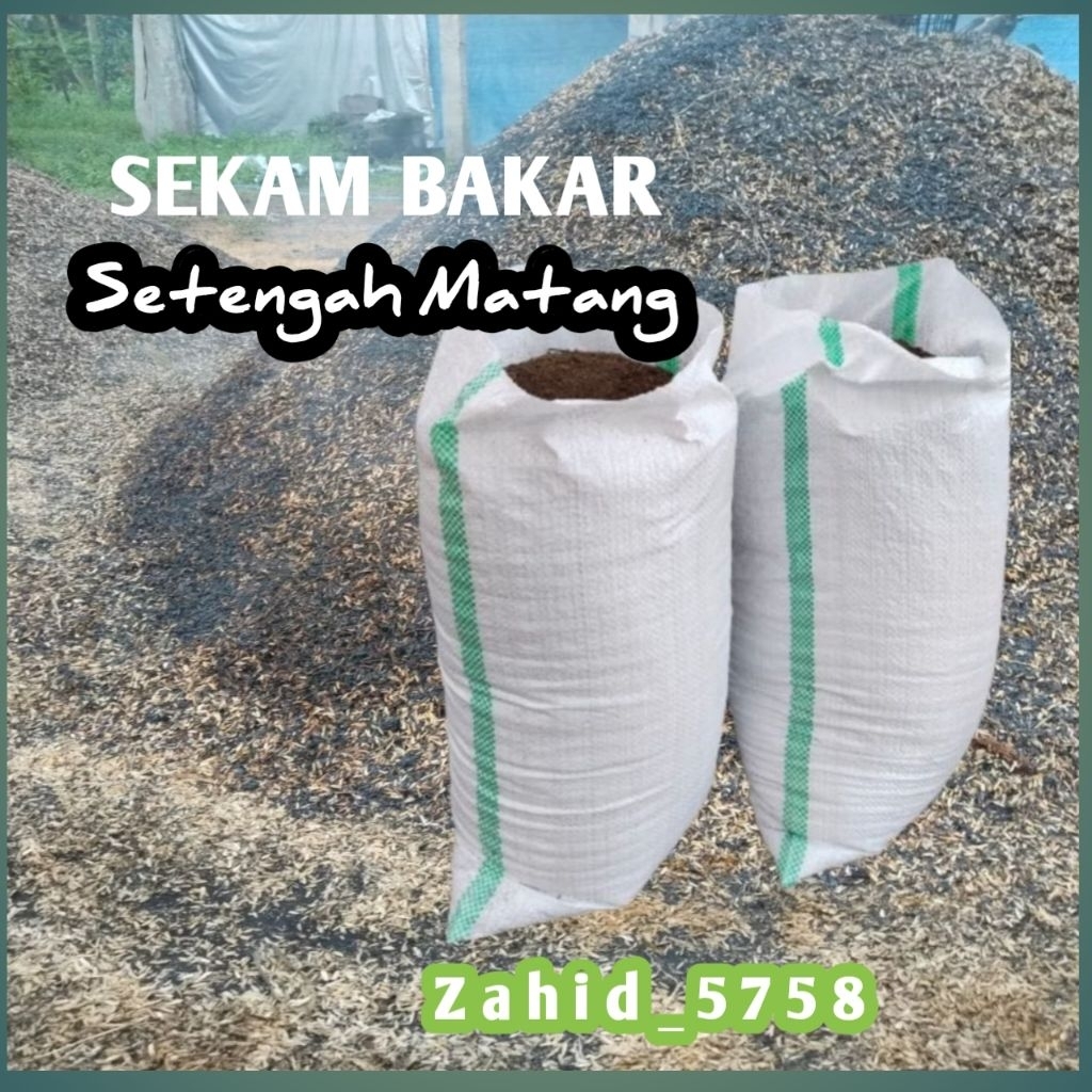 Jual Setengah Mateng Sekam Bakar 1 Karung Ukuran 10 Kg | Shopee Indonesia