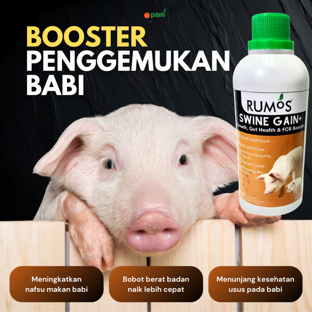 Jual SWINE GAIN+ – Booster Pembesaran Babi | Cepat Besar, FCR Hemat ...