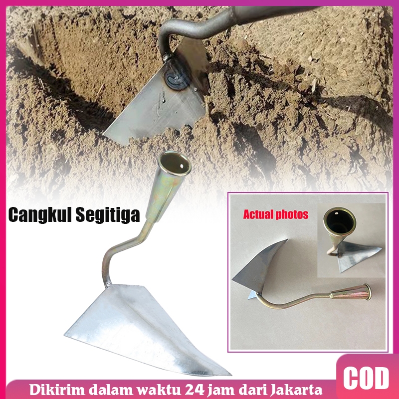 Jual Cangkul Tip Segitiga Besar/Cangkul Bajak Pembuat Bedengan Galengan ...