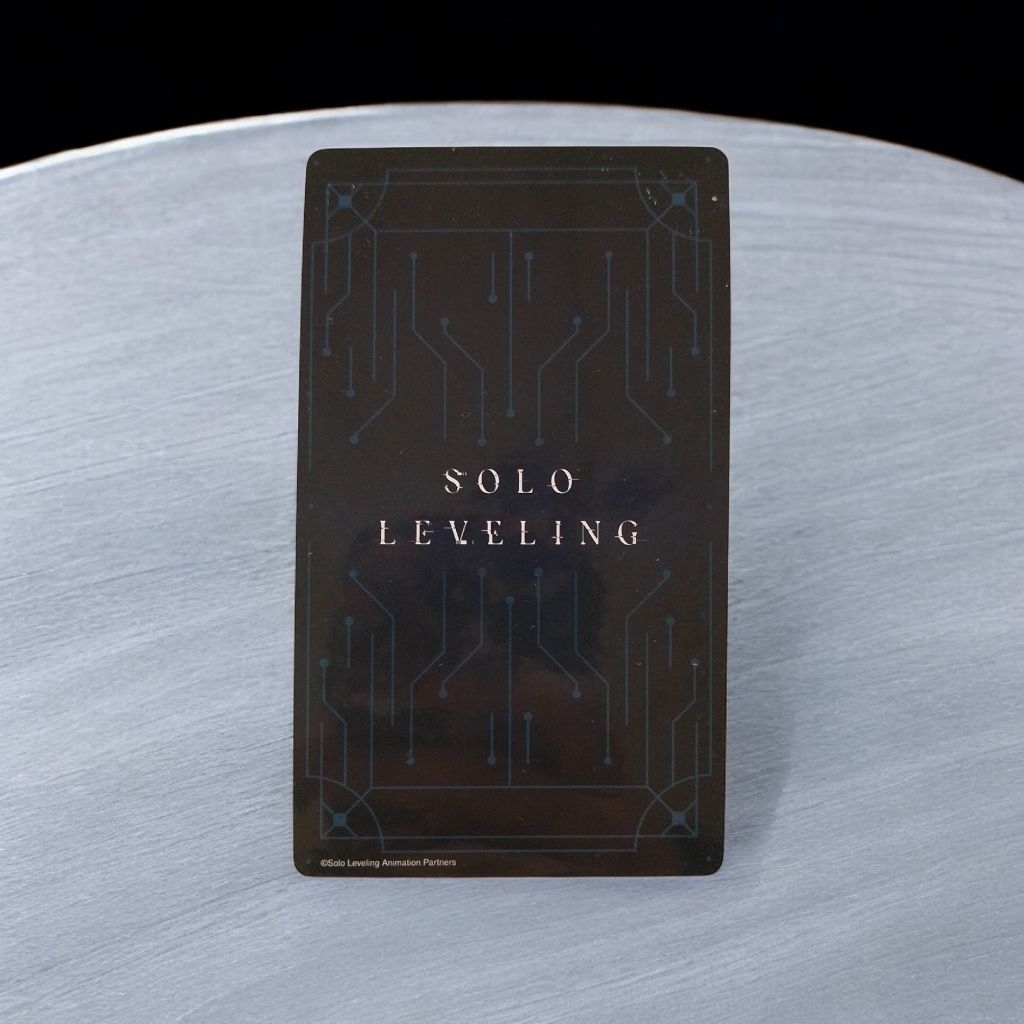 Jual Kartu Solo Leveling Card Indomaret | Shopee Indonesia