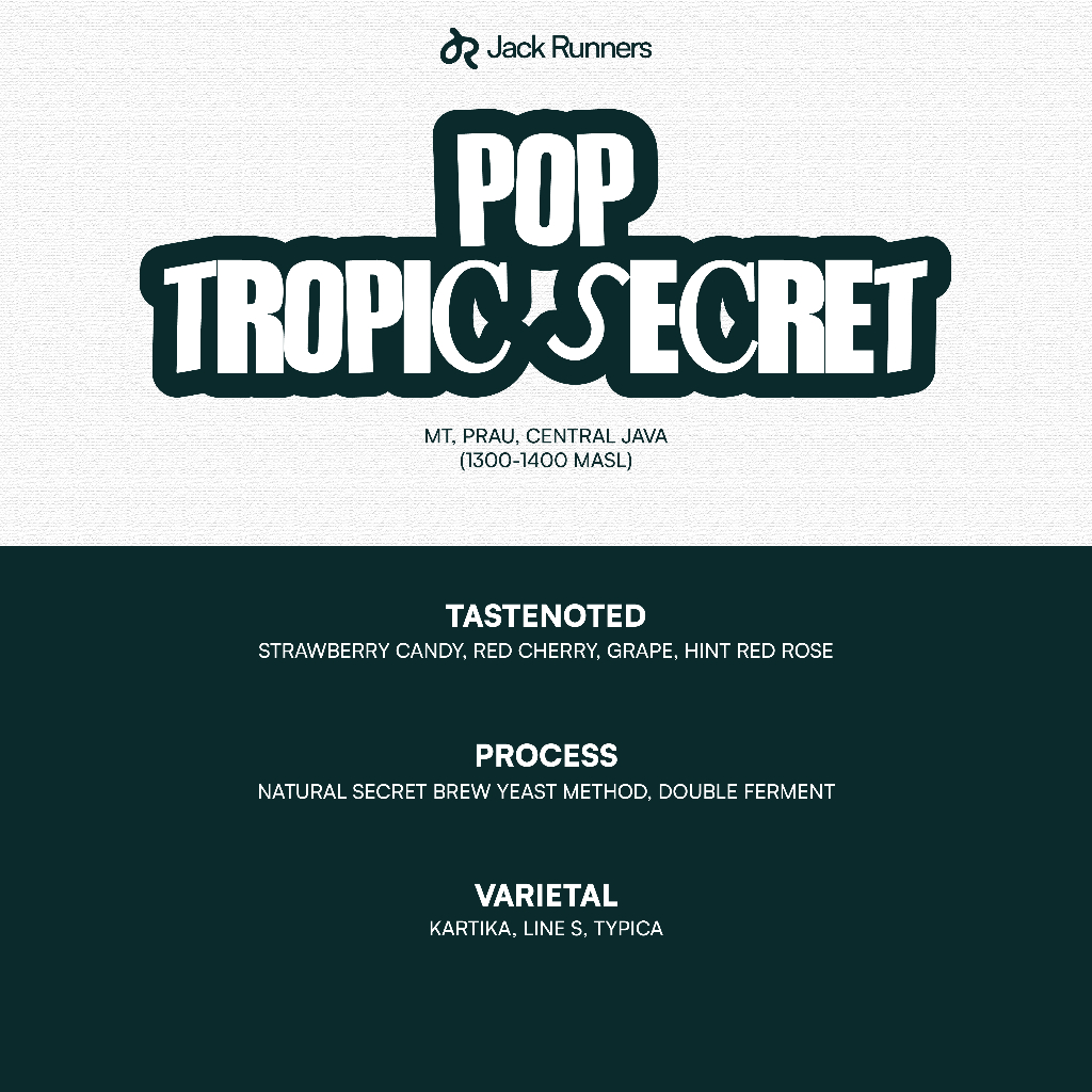 Jual JACK RUNNERS ROASTERY - POP TROPIC SECRET - ROASTED BEANS | Shopee ...