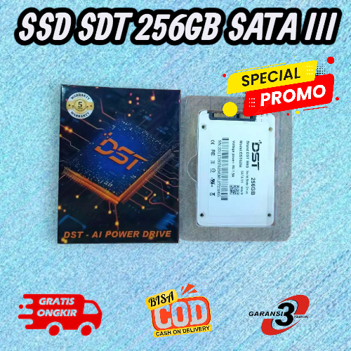 Jual SSD Sata III DST 256 Gb - Baru dan Bergaransi Resmi | Shopee Indonesia