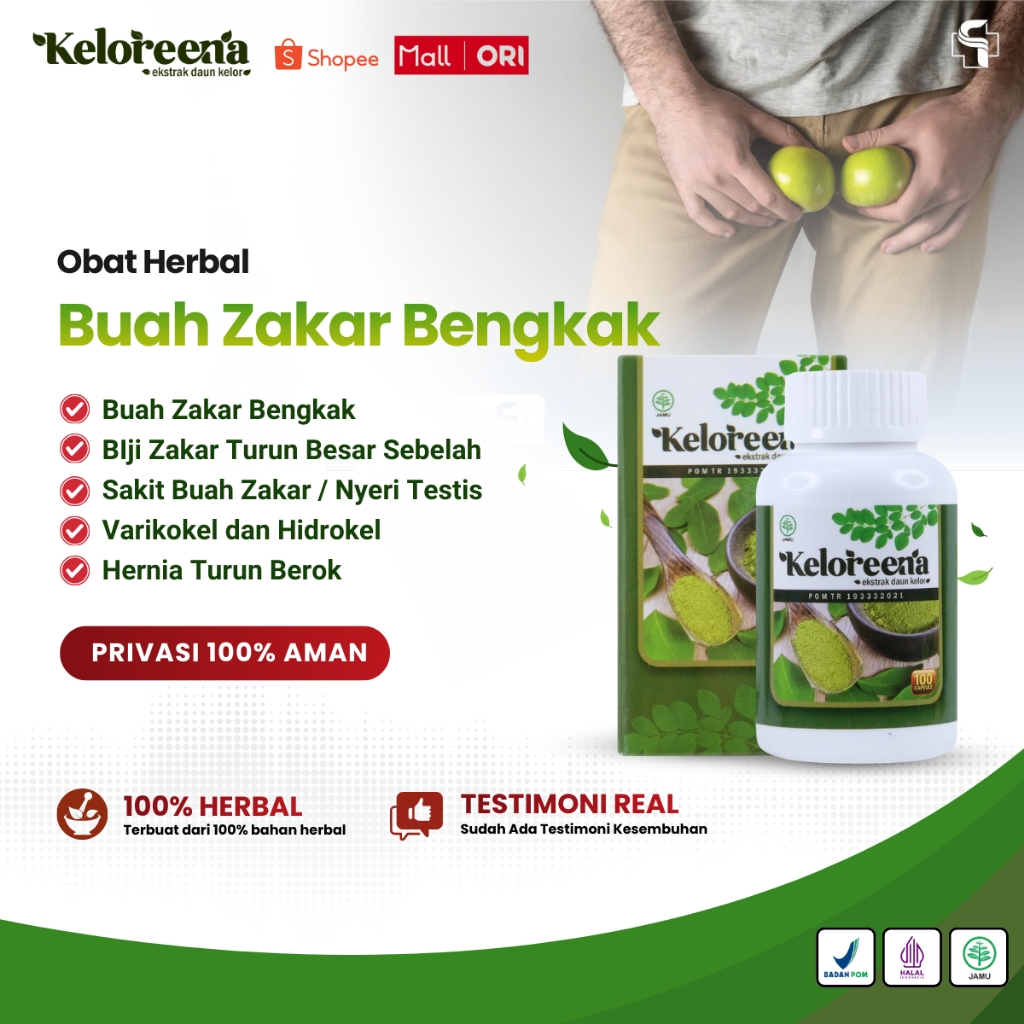 Jual Obat Buah Zakar Bengkak, Sakit Buah Zakar, Nyeri Testis, Varikokel ...