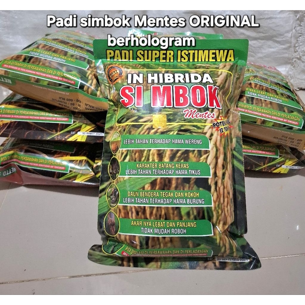 Jual PADI SIMBOK MENTES ORI BERHOLOGRAM (1 KG ) | Shopee Indonesia