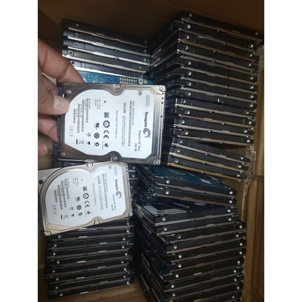 Jual Hardisk Sata 250GB HDD 2.5inch Harddisk laptop | Shopee Indonesia