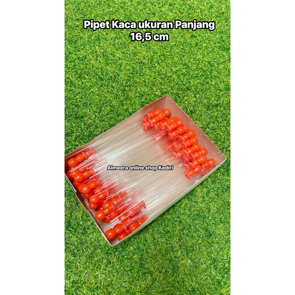 Jual Pipet Tetes Kaca Laboratorium 10 cm dan 16,5 cm | Shopee Indonesia