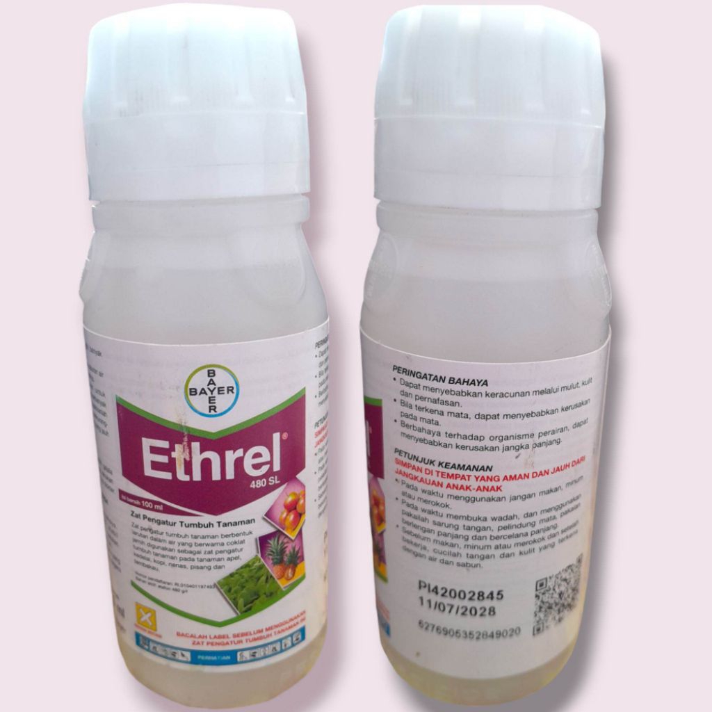 Jual Ethrel 480 SL Zat Pengatur Tumbuh Tanaman 100 ML untuk Mencerahkan ...