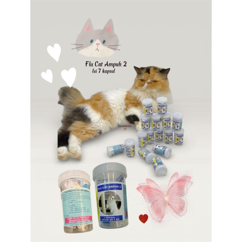 Jual Flu cat ampuh 2 ,Obat flu kucing bb 2kg isi 7kapsul | Shopee Indonesia