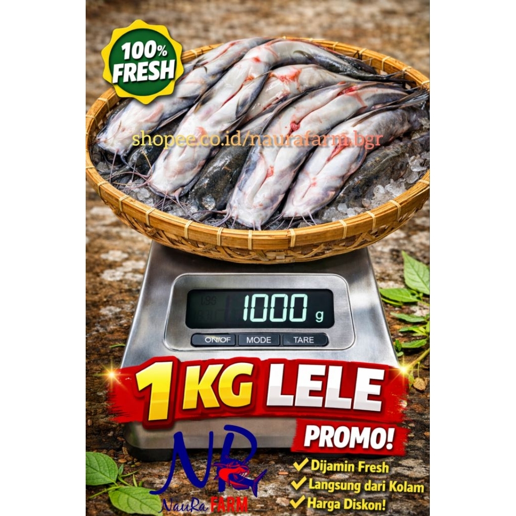 Jual Ikan Lele Per Kg Terlengkap & Harga Terbaru Juni 2026 | Shopee ...