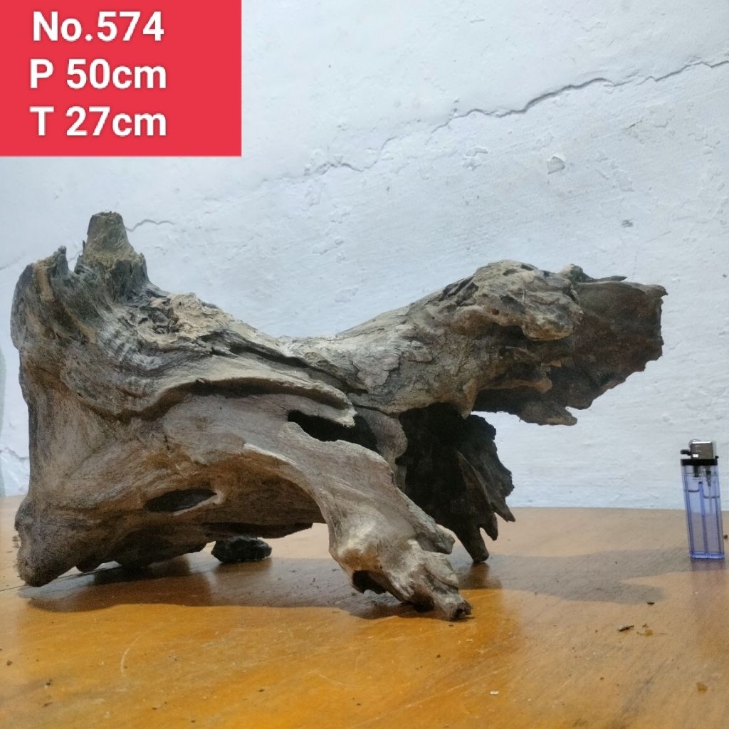 Jual batang akar santigi laut akar dekorasi aquascape aquarium 574 ...