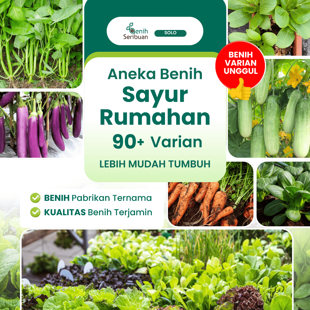 Jual Benih Terlengkap & Harga Terbaru Mei 2026 | Shopee Indonesia