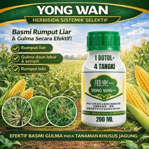 Jual Yong Wan Yongwan Herbisida Sistemik Selektif Atasi Gulma Daun ...