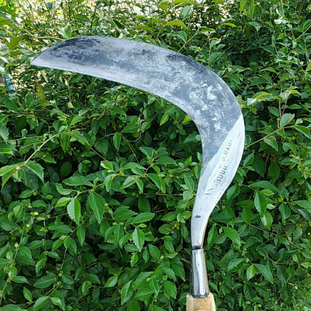Jual SABIT RUMPUT DAN RAMBANAN CAP MBODO khas malangan | Shopee Indonesia