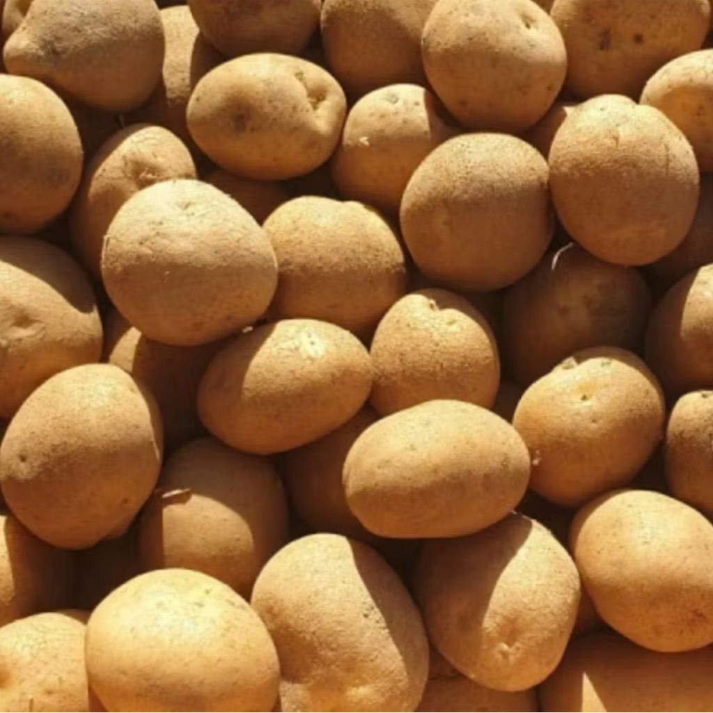 Jual Kentang 1 Kg Terlengkap & Harga Terbaru Juni 2026 | Shopee Indonesia